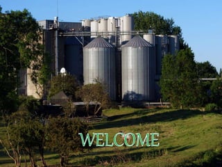 Childhood and growing up ppt | PPTX