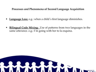 Childhoodbilingualim | PPT