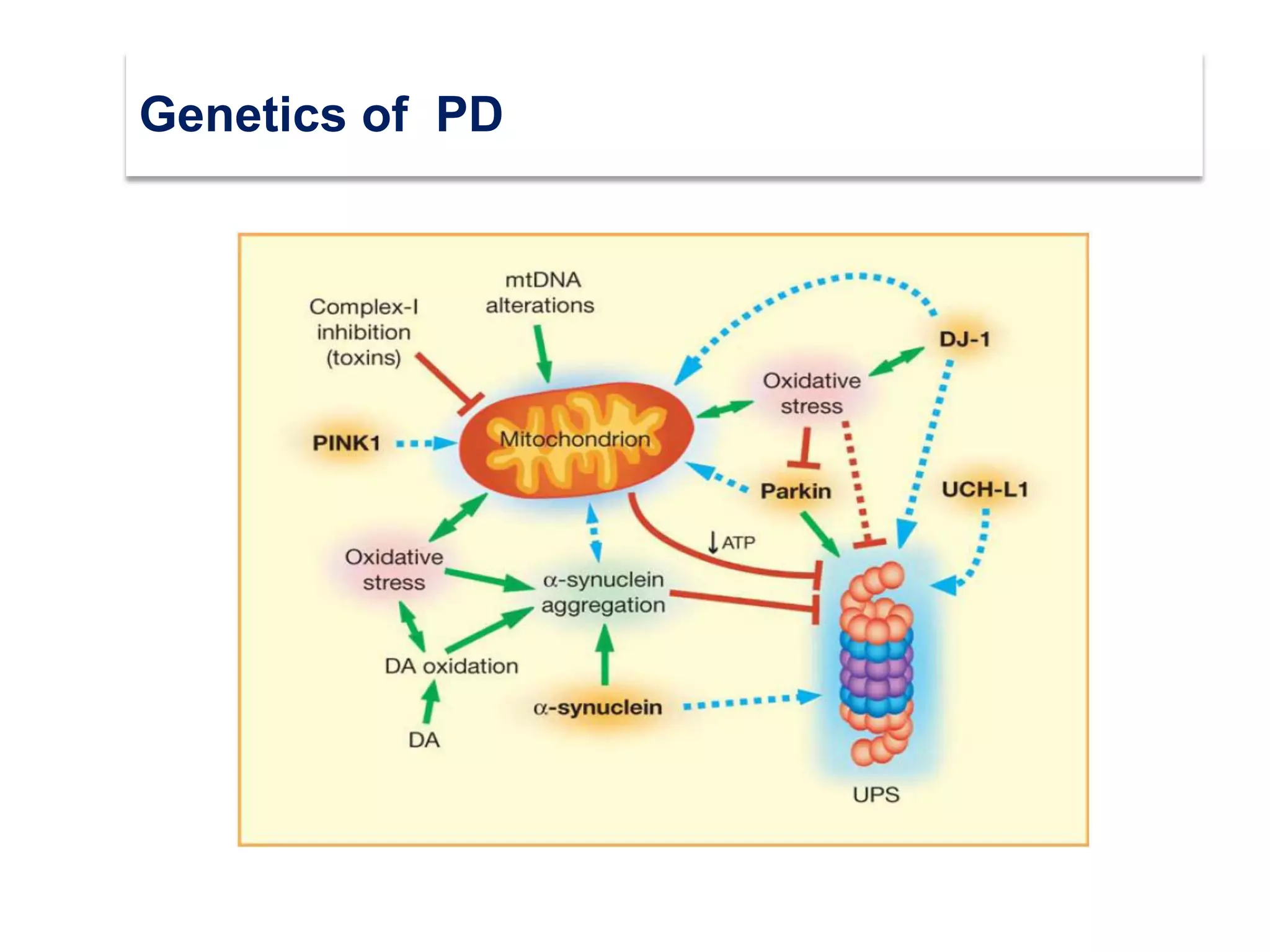 Childhood and juvenile movement disorders | PDF
