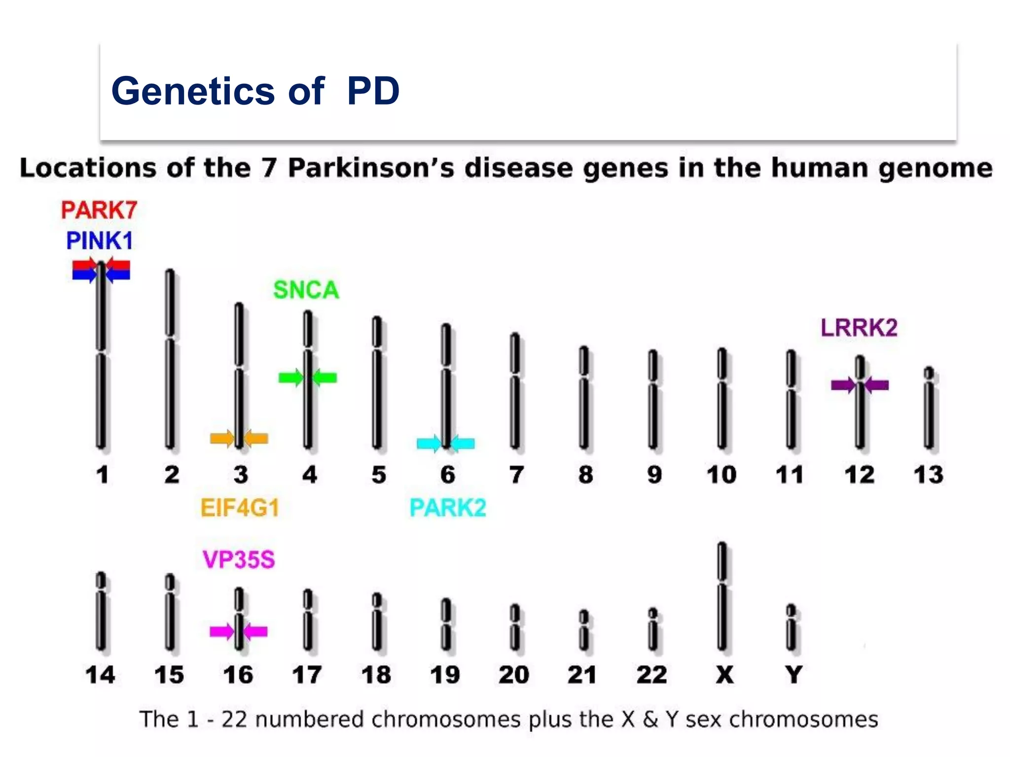 Childhood and juvenile movement disorders | PDF