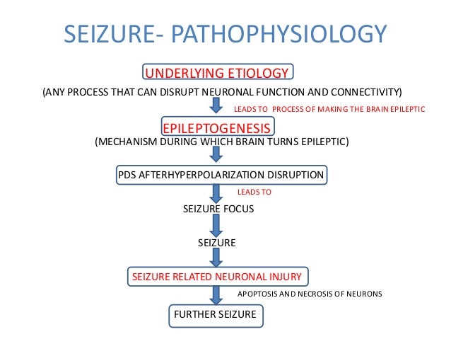 Childhood seizure and its management