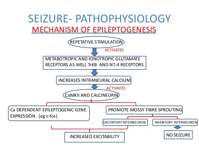 Childhood seizure and its management