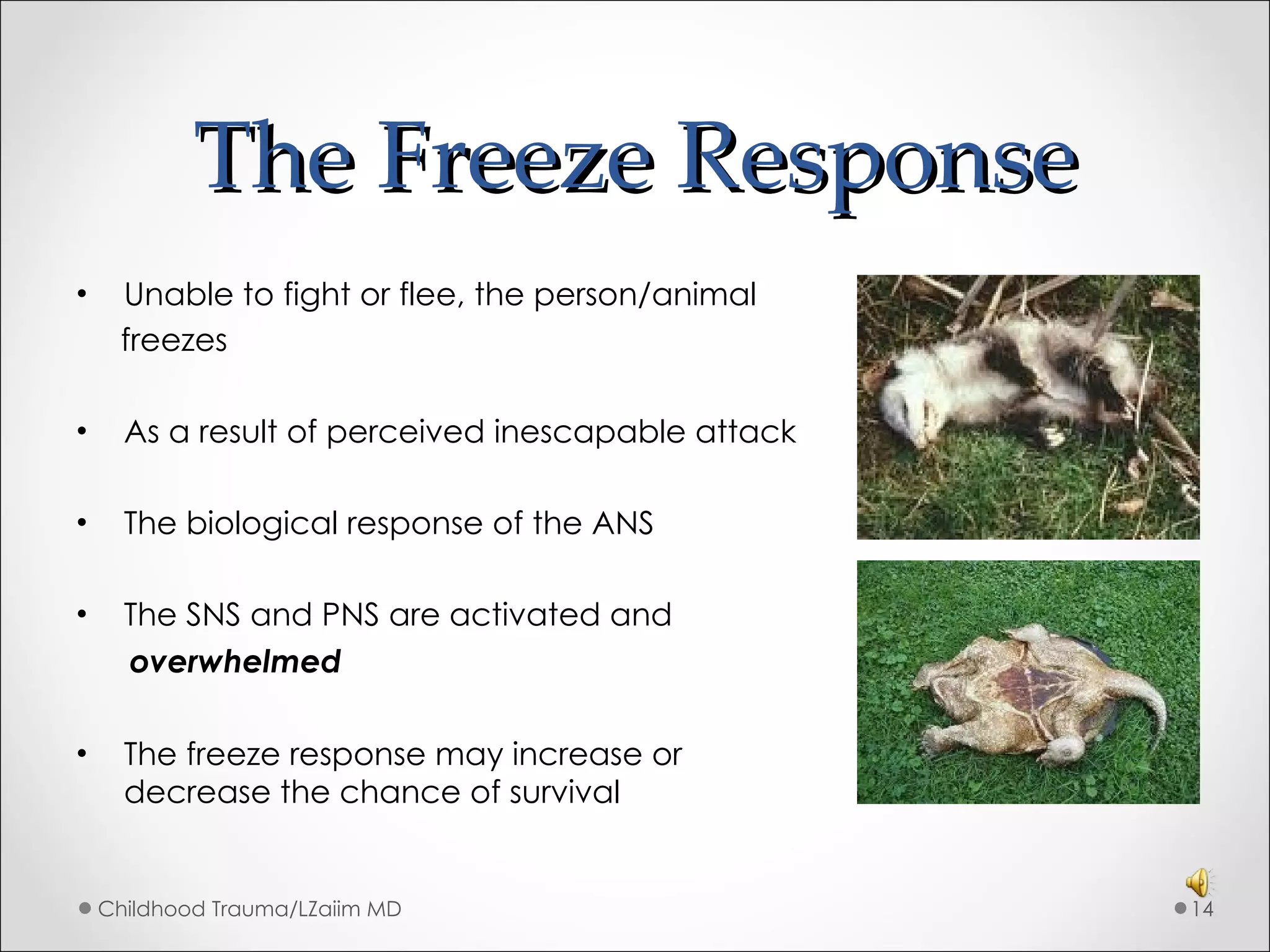 Childhood Trauma Presentation 2 | PPT