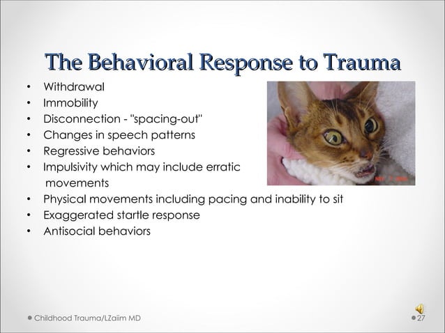 Childhood Trauma Presentation 2 | PPT