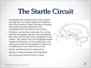 Childhood Trauma Presentation 2 | PPT