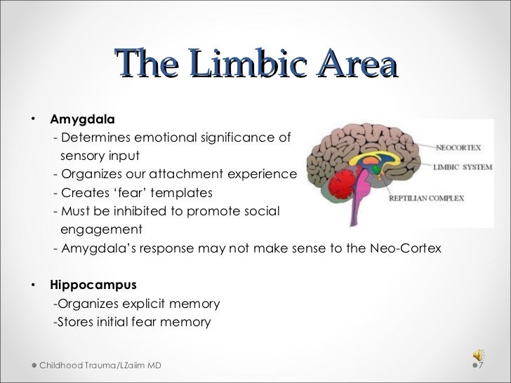 Childhood Trauma Presentation 2