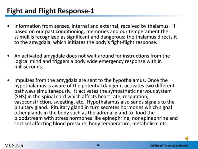 Childhood Trauma Presentation | PPT | Brain and Nervous System ...