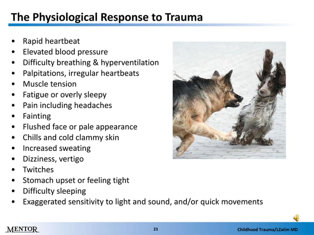 Childhood Trauma Presentation | PPT | Brain and Nervous System ...
