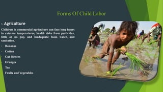 Child labor in india | PPTX