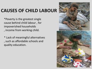 Child labour | PPTX