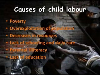 Child labour | PPTX