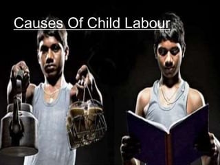 Child labour | PPT