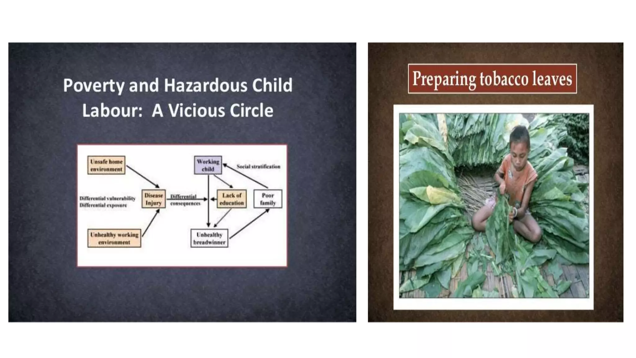 CHILD LABOUR PPT (1).pptx