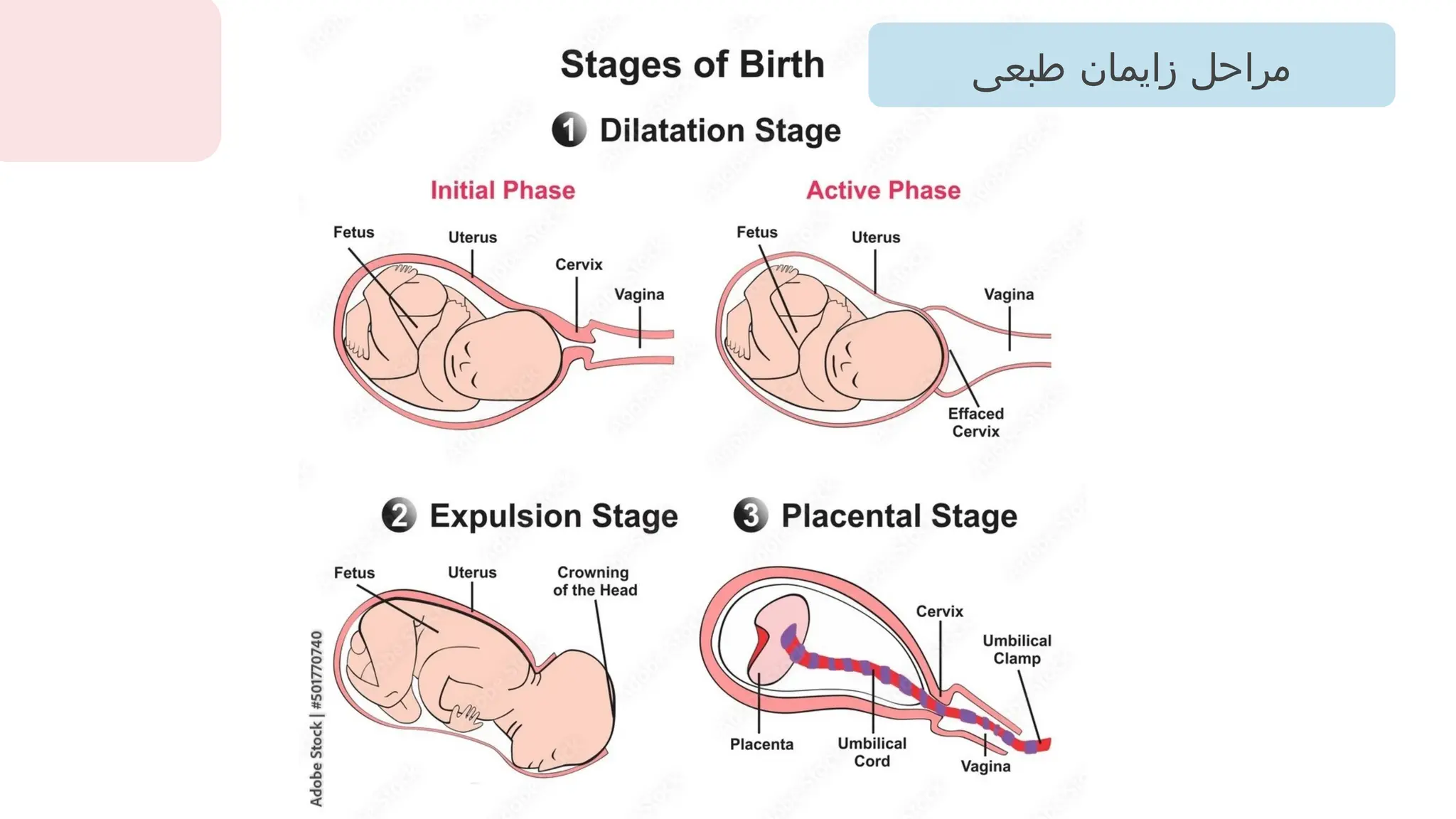 Child Natural Birth perparation andSteges.pptx