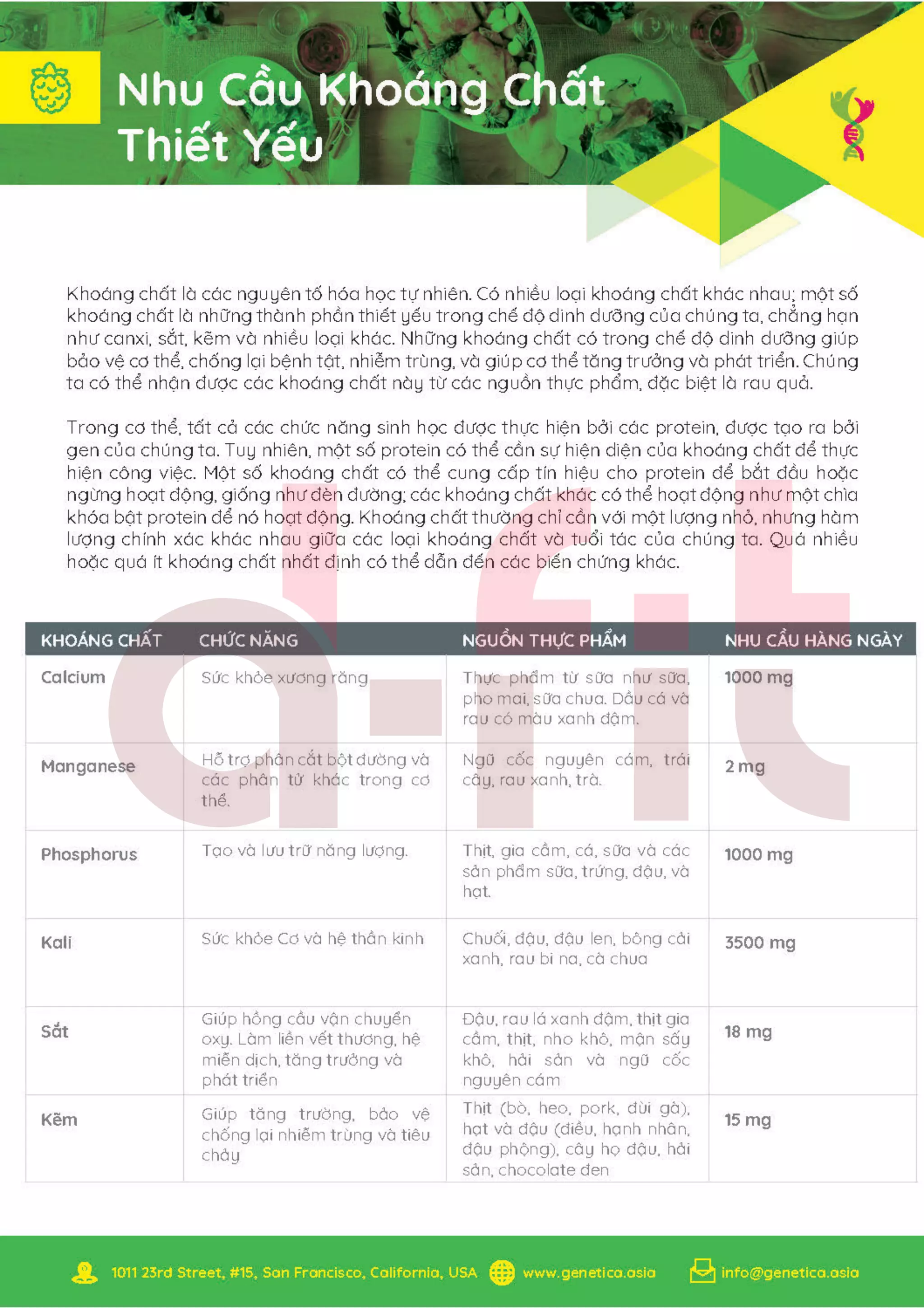 Báo cáo dinh dưỡng Trẻ em (Nutrition) | PDF