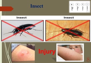 Children safety | PPT