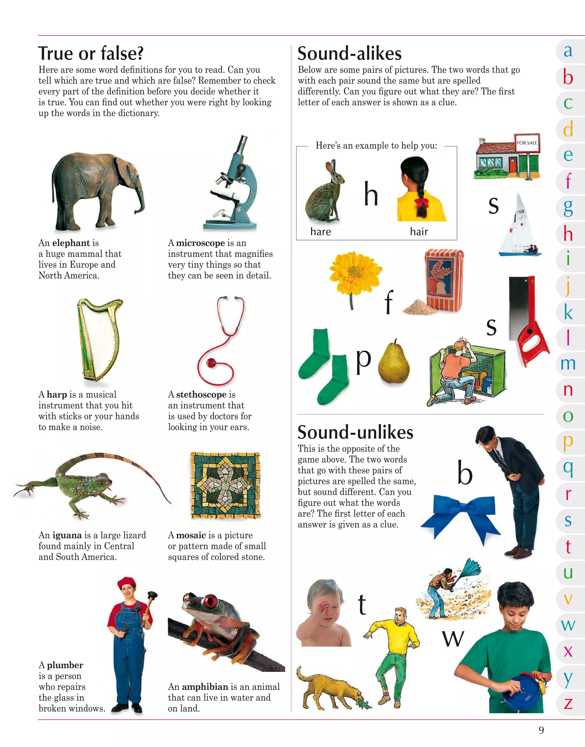 Children's Illustrated Dictionary | PDF