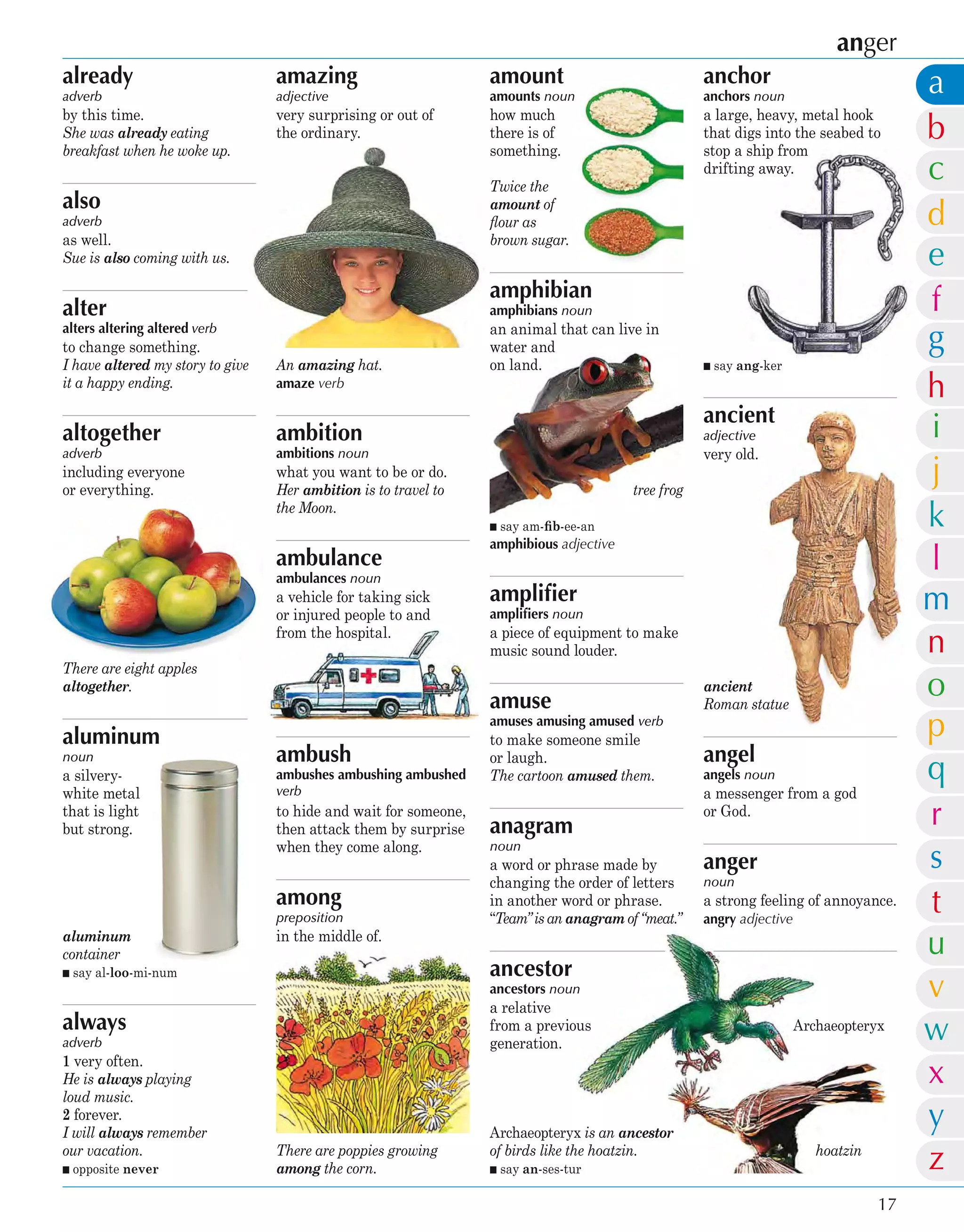 Children's Illustrated Dictionary | PDF