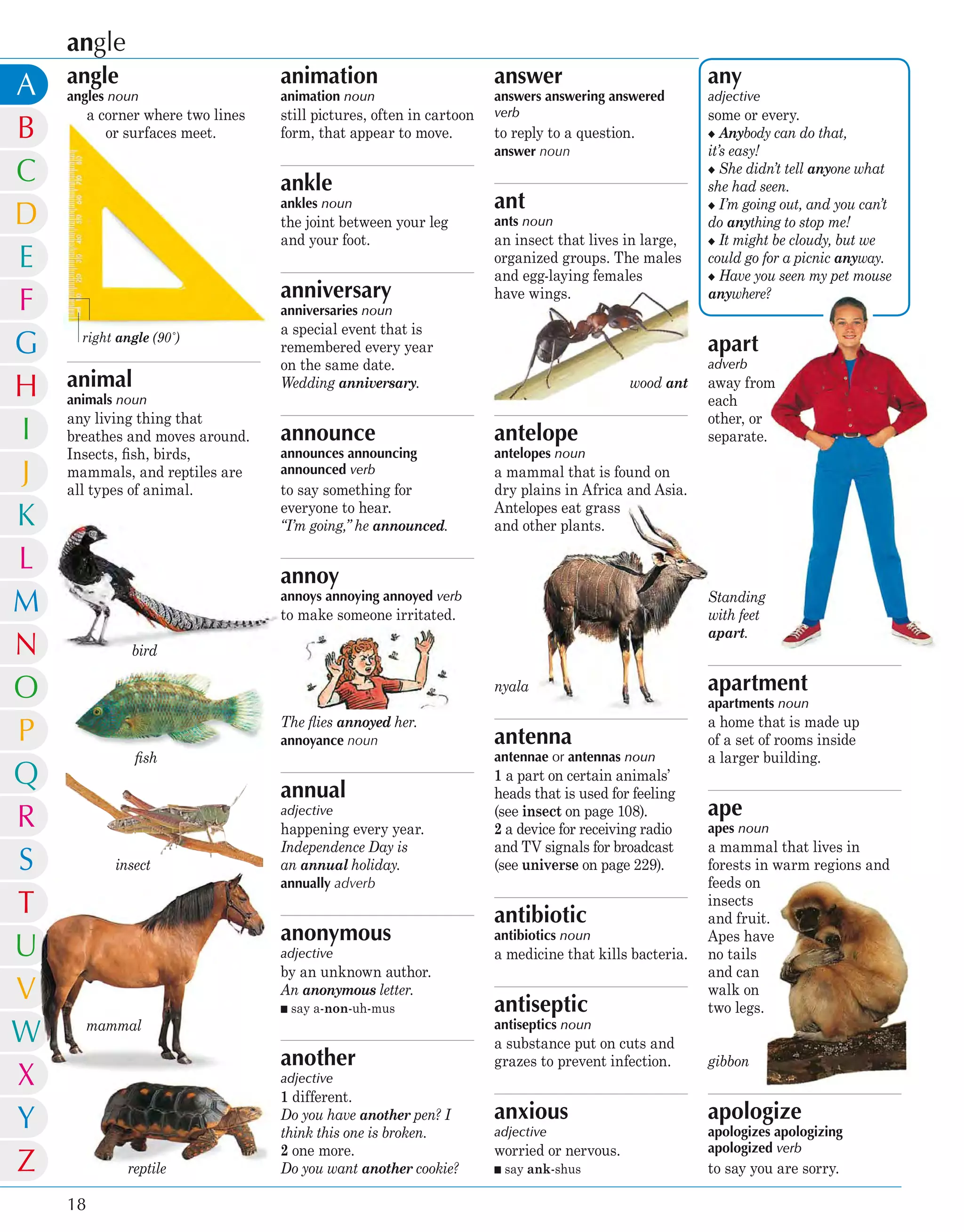 Children's Illustrated Dictionary | PDF
