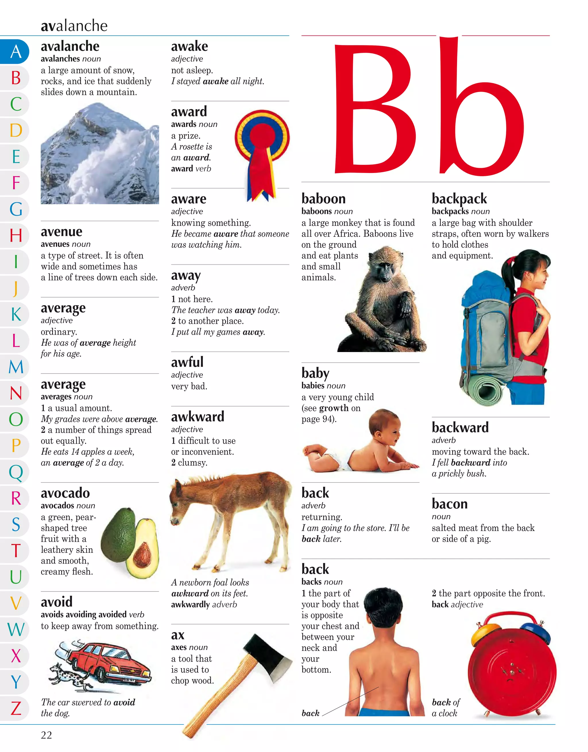 Children's Illustrated Dictionary | PDF