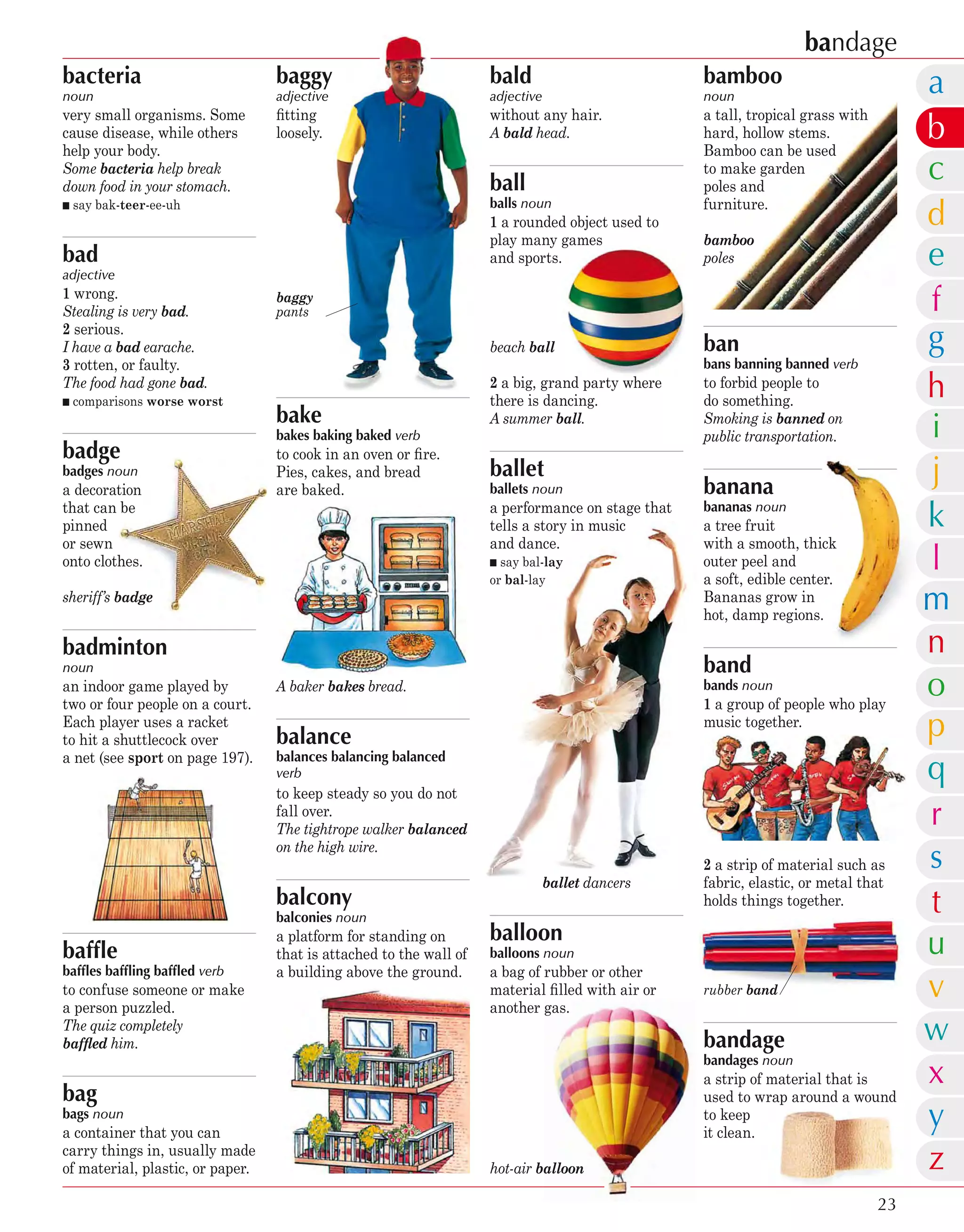 Children's Illustrated Dictionary | PDF