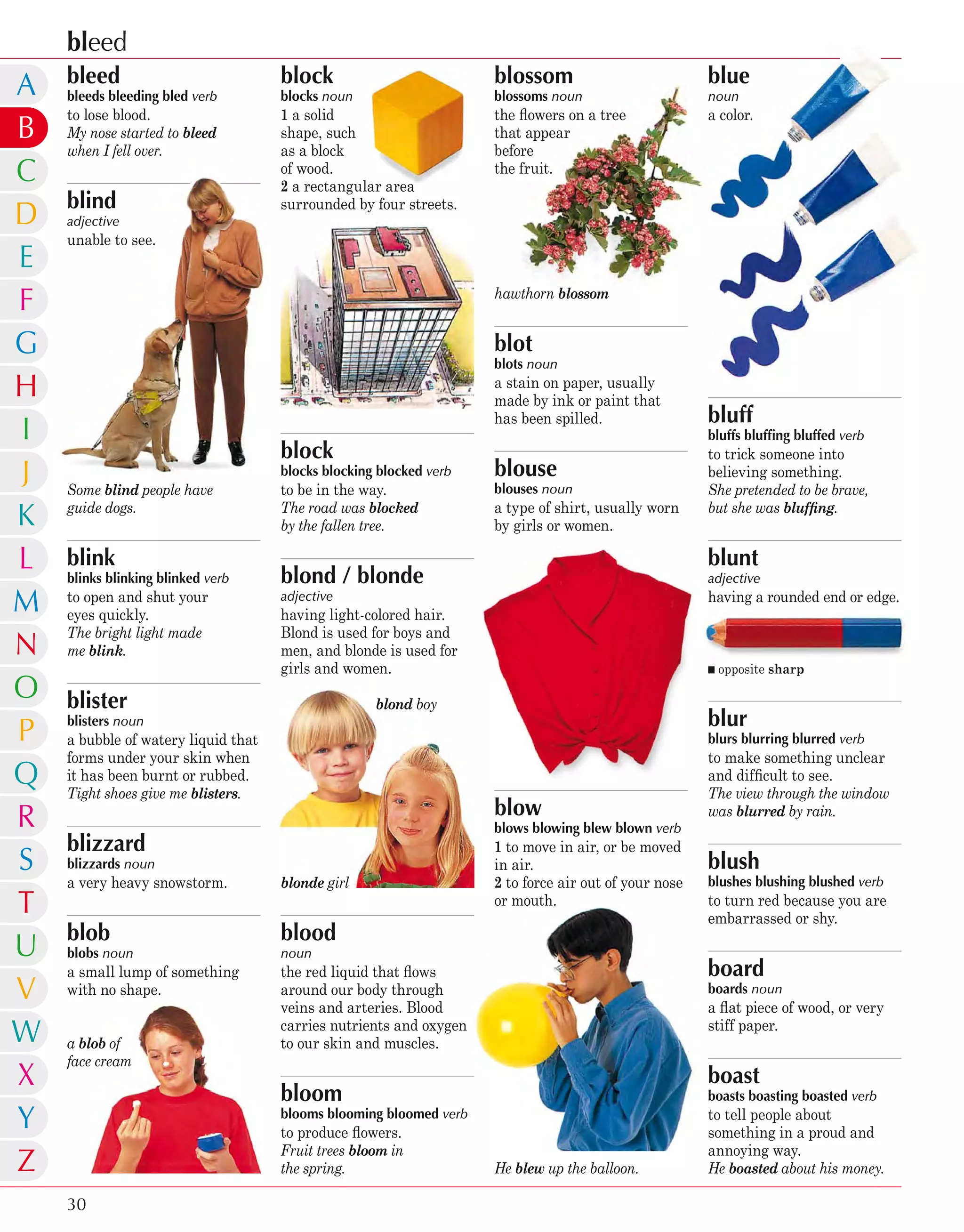 Children's Illustrated Dictionary | PDF