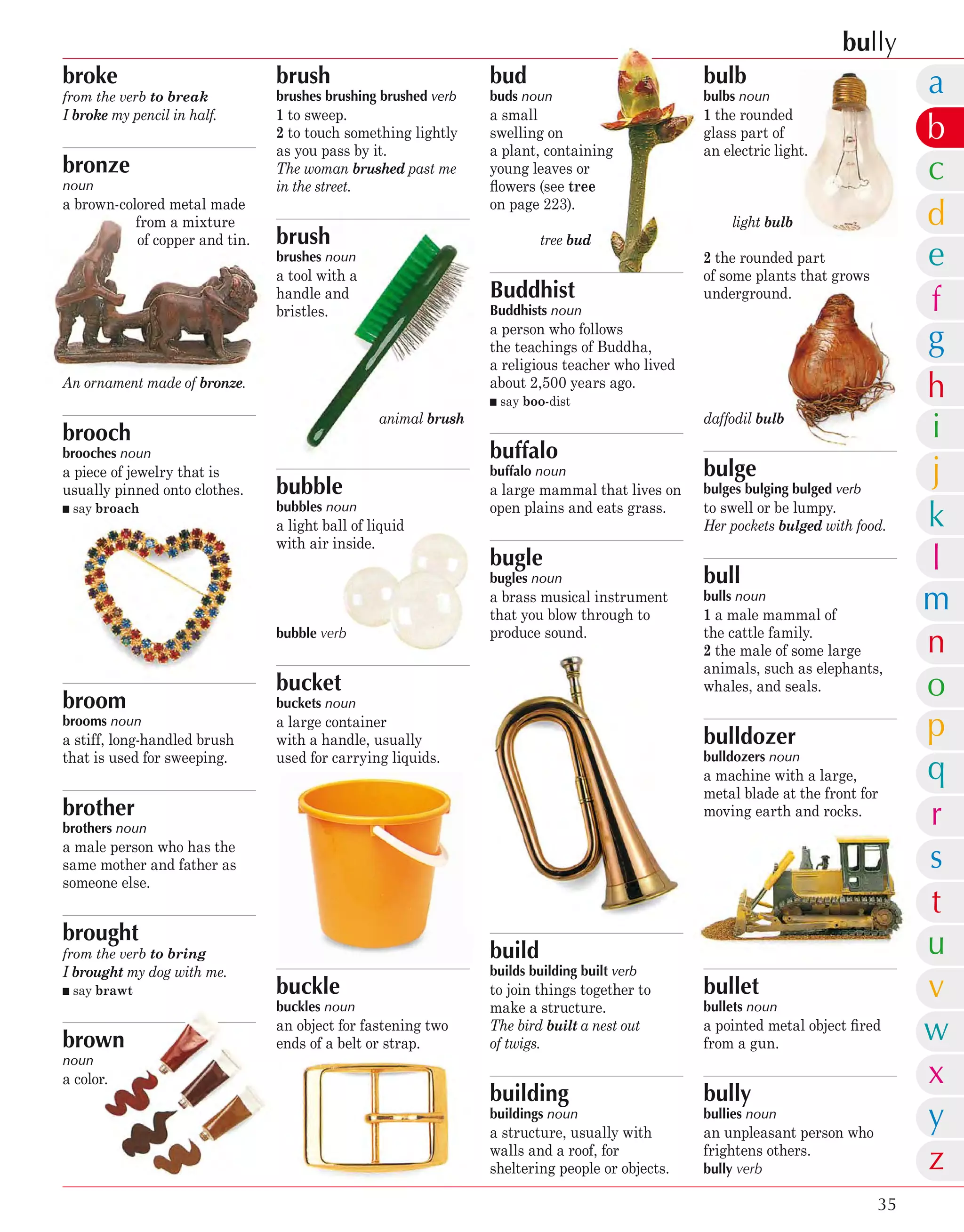 Children's Illustrated Dictionary | PDF