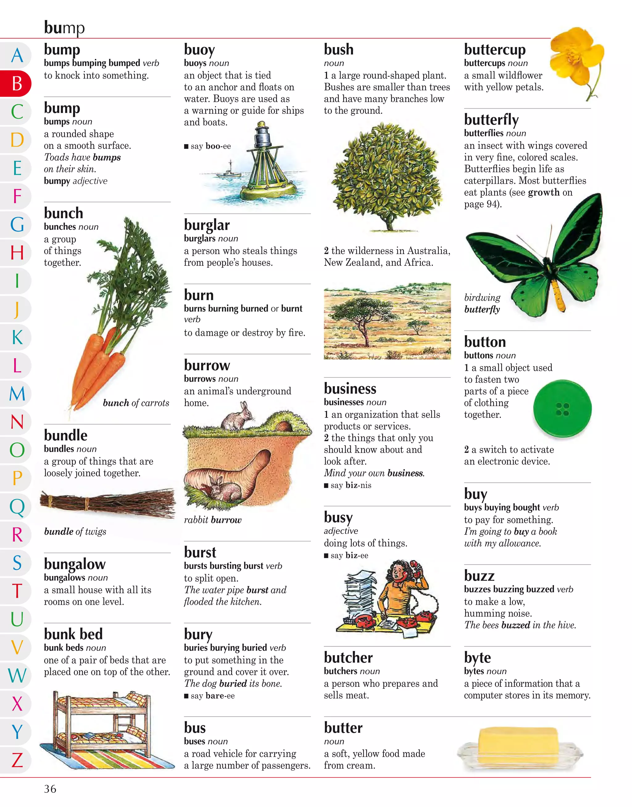 Children s Illustrated Dictionary PDF