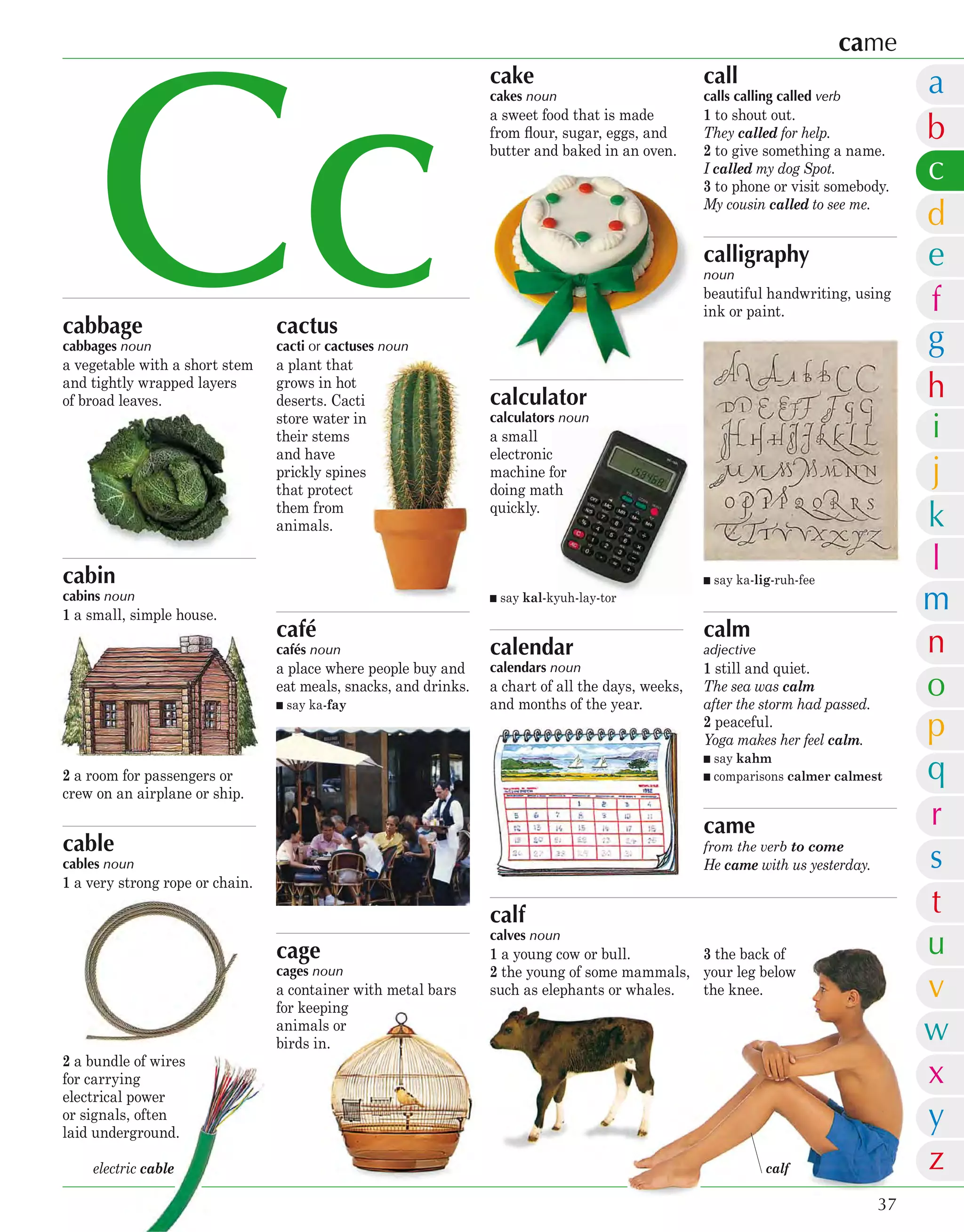 Children's Illustrated Dictionary | PDF
