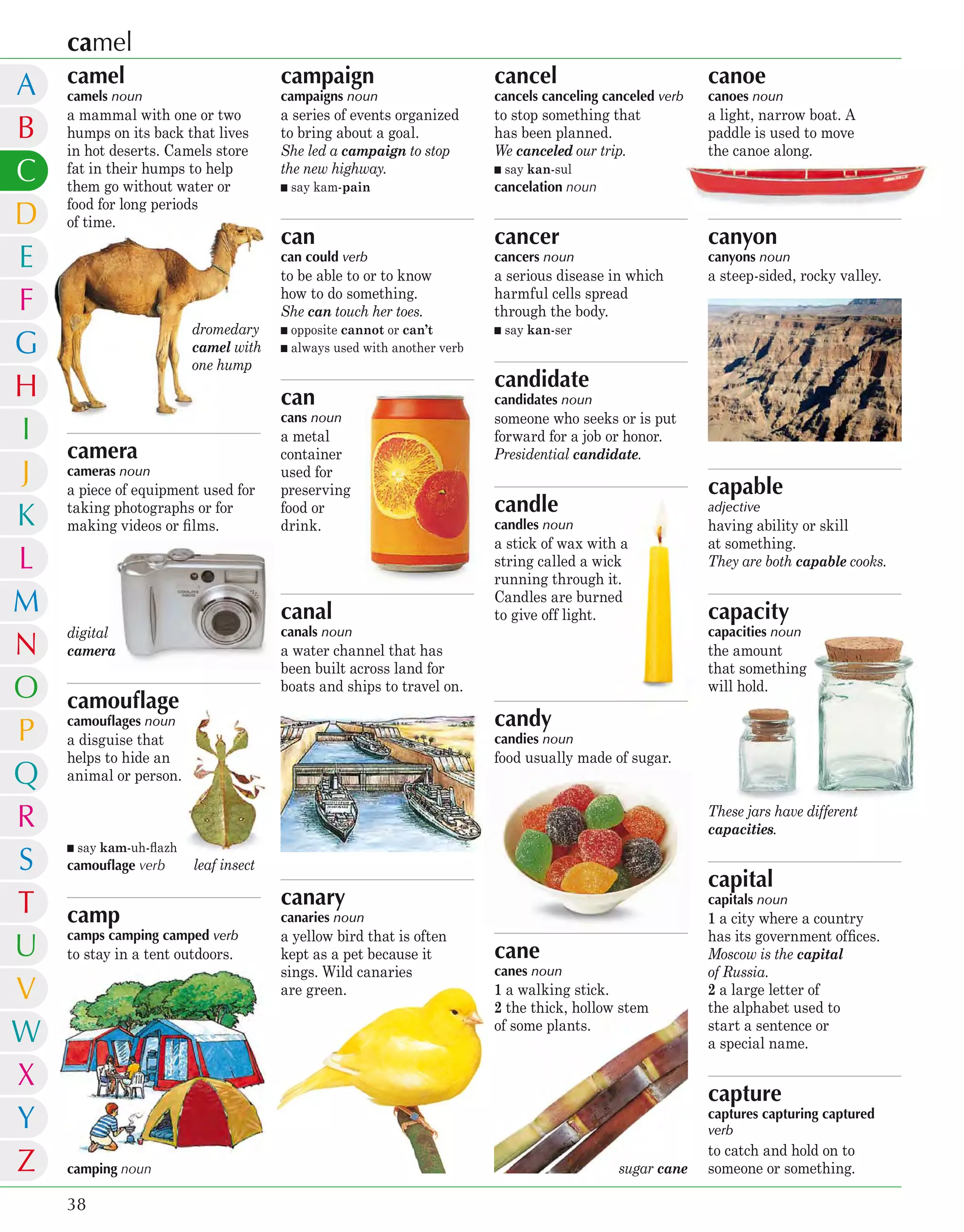 Children's Illustrated Dictionary | PDF