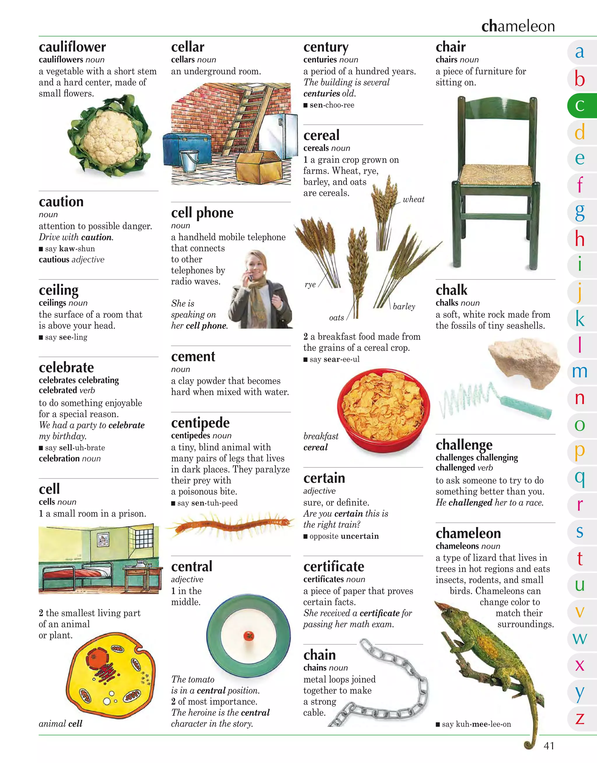 Children's Illustrated Dictionary | PDF