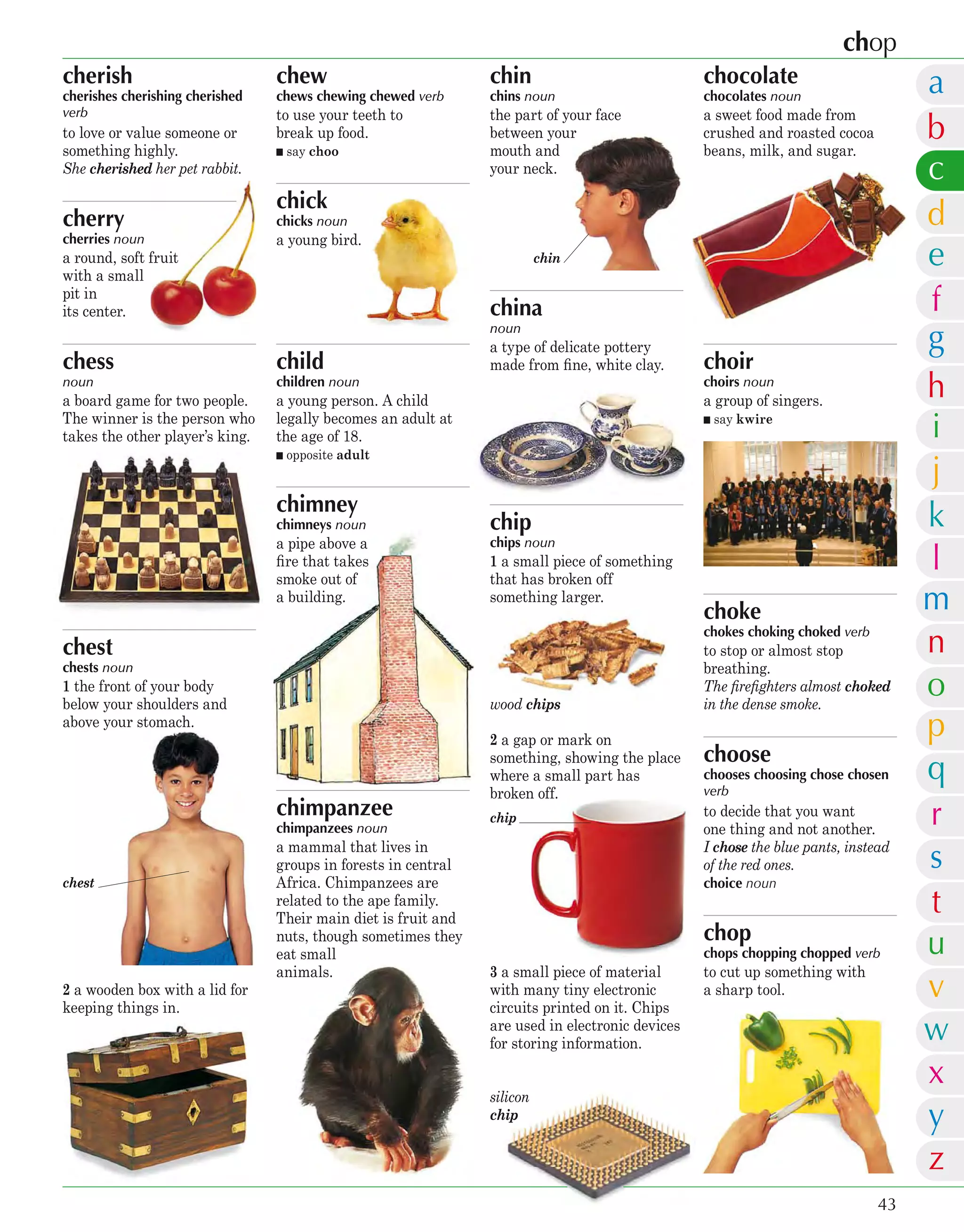 Children's Illustrated Dictionary | PDF