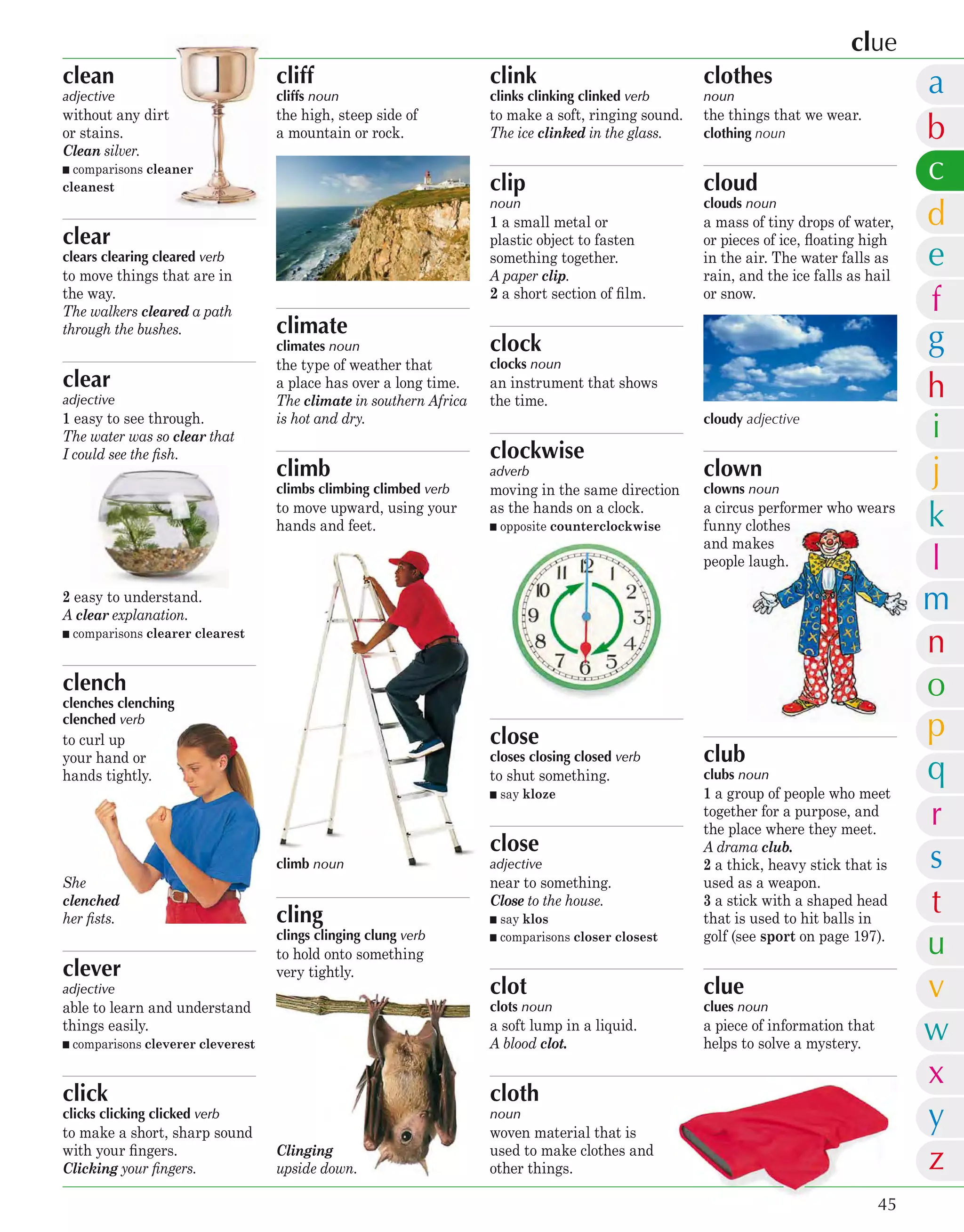 Children's Illustrated Dictionary | PDF