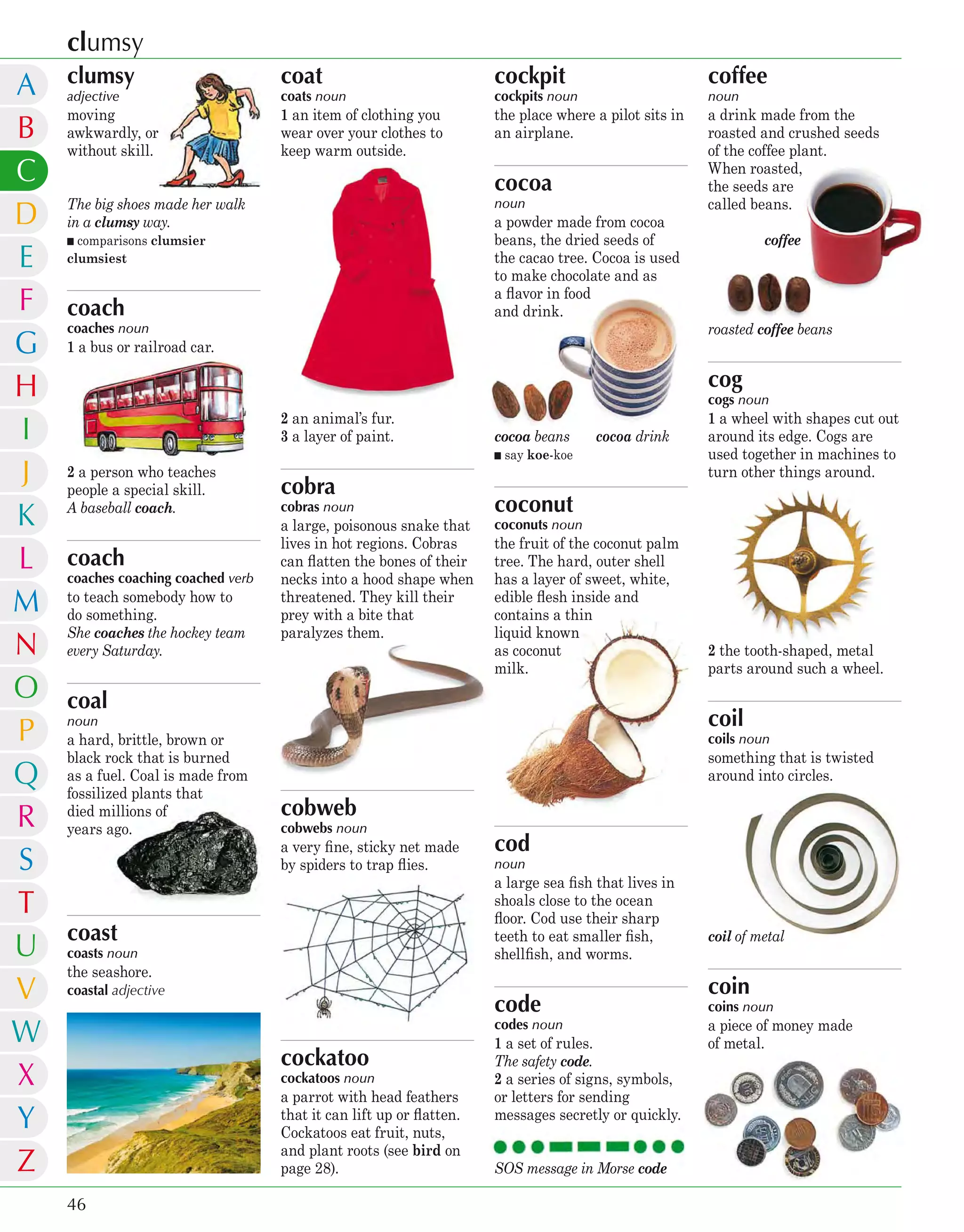 Children's Illustrated Dictionary | PDF