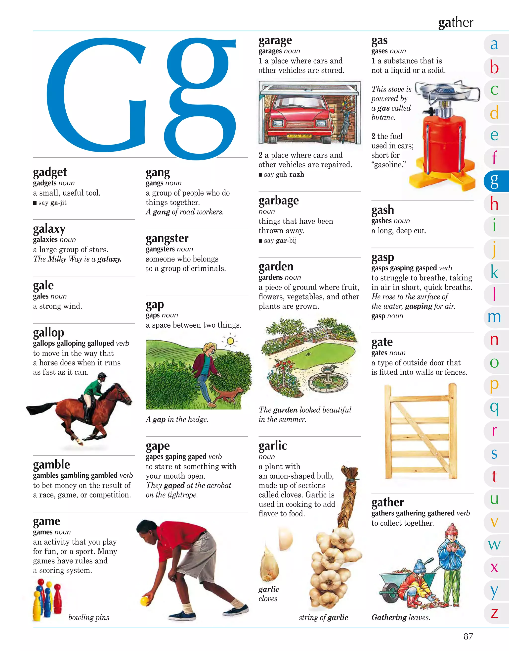 Children's Illustrated Dictionary | PDF