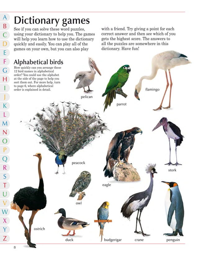 Children's Illustrated Dictionary | PDF