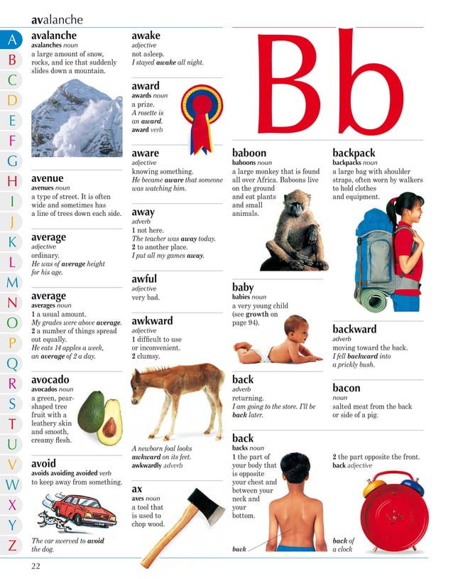 Children's Illustrated Dictionary | PDF