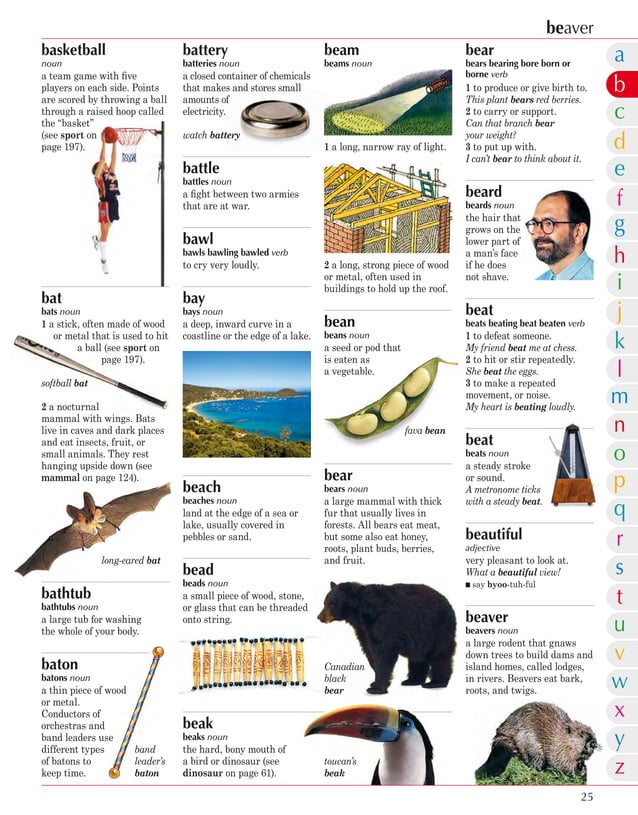 Children's Illustrated Dictionary | PDF