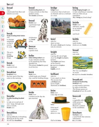 Children's Illustrated Dictionary | PDF