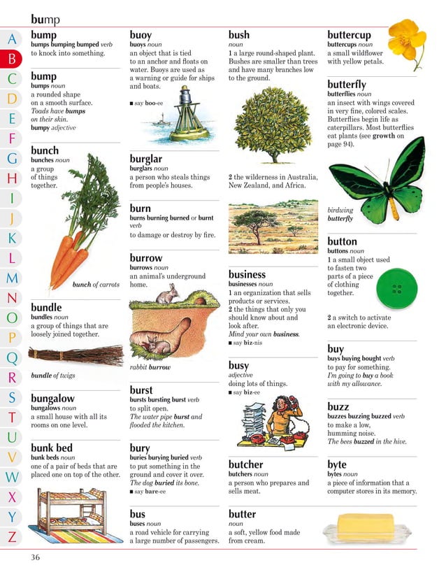 Children's Illustrated Dictionary | PDF