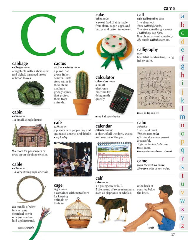 Children's Illustrated Dictionary | PDF