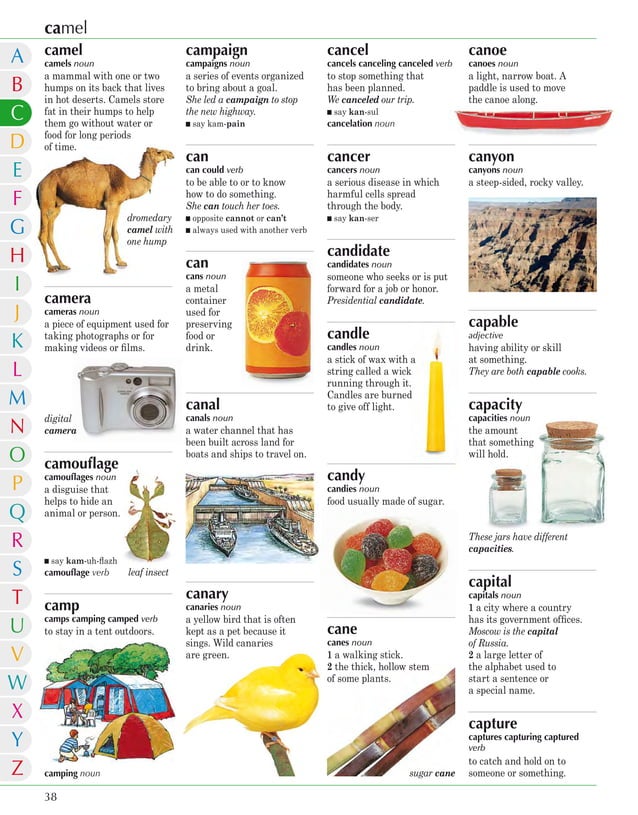 Children's Illustrated Dictionary | PDF