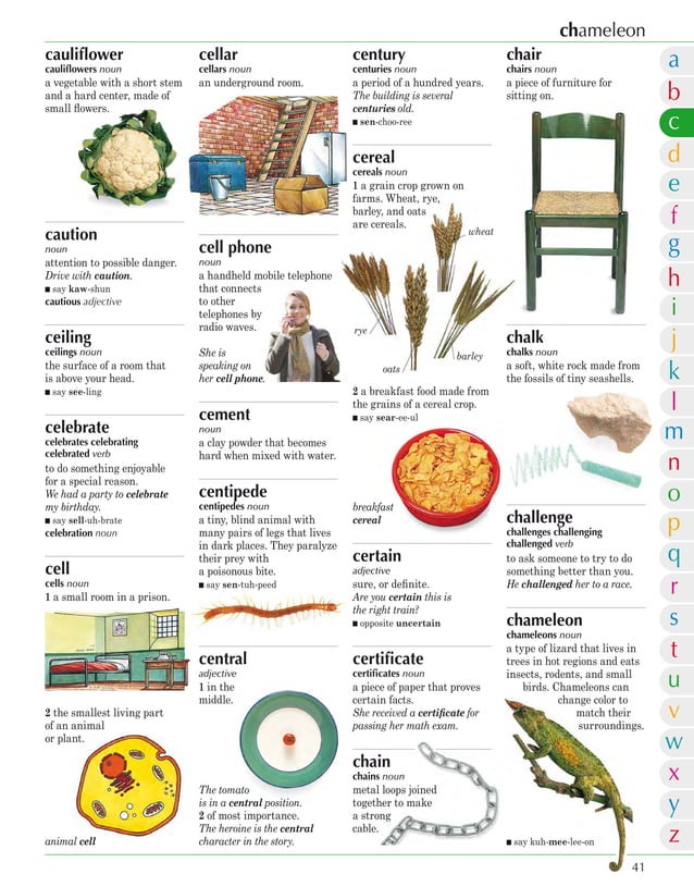 Children's Illustrated Dictionary | PDF