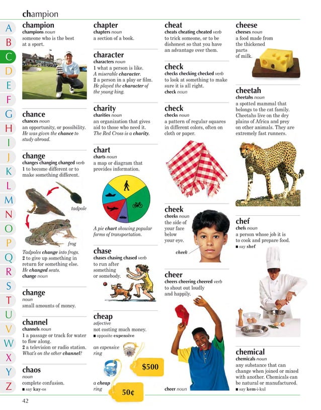 Children's Illustrated Dictionary | PDF