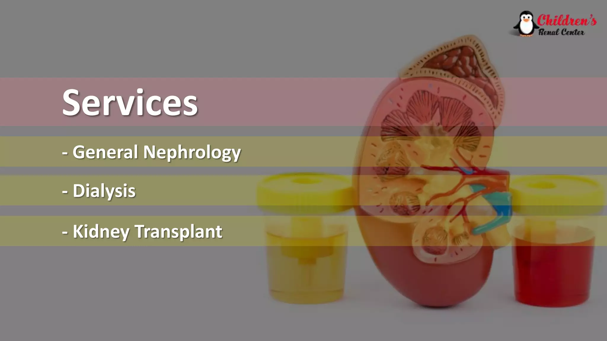 Pediatric Nephrology in Dallas, TX - Children’s Renal Center | PPT