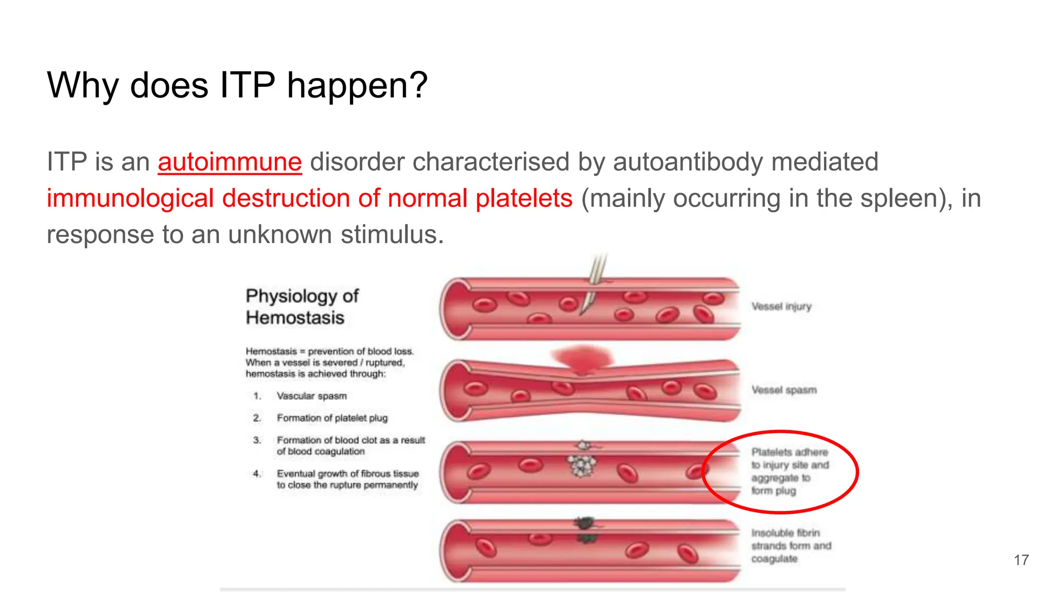 Children with Bleeding Problems Presentation.pptx