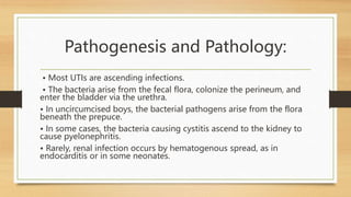 Children with Genito urinary disorders.pptx