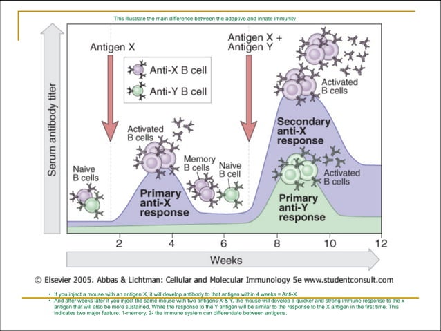 children with recurrent infection (notes).pdf