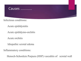 Child with acute scrotum | PPTX
