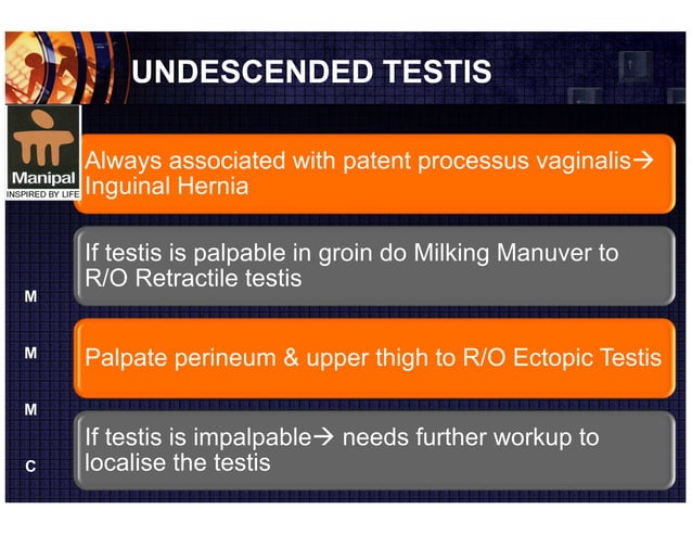 Cryptorchidism--(Undescended testis) | PDF